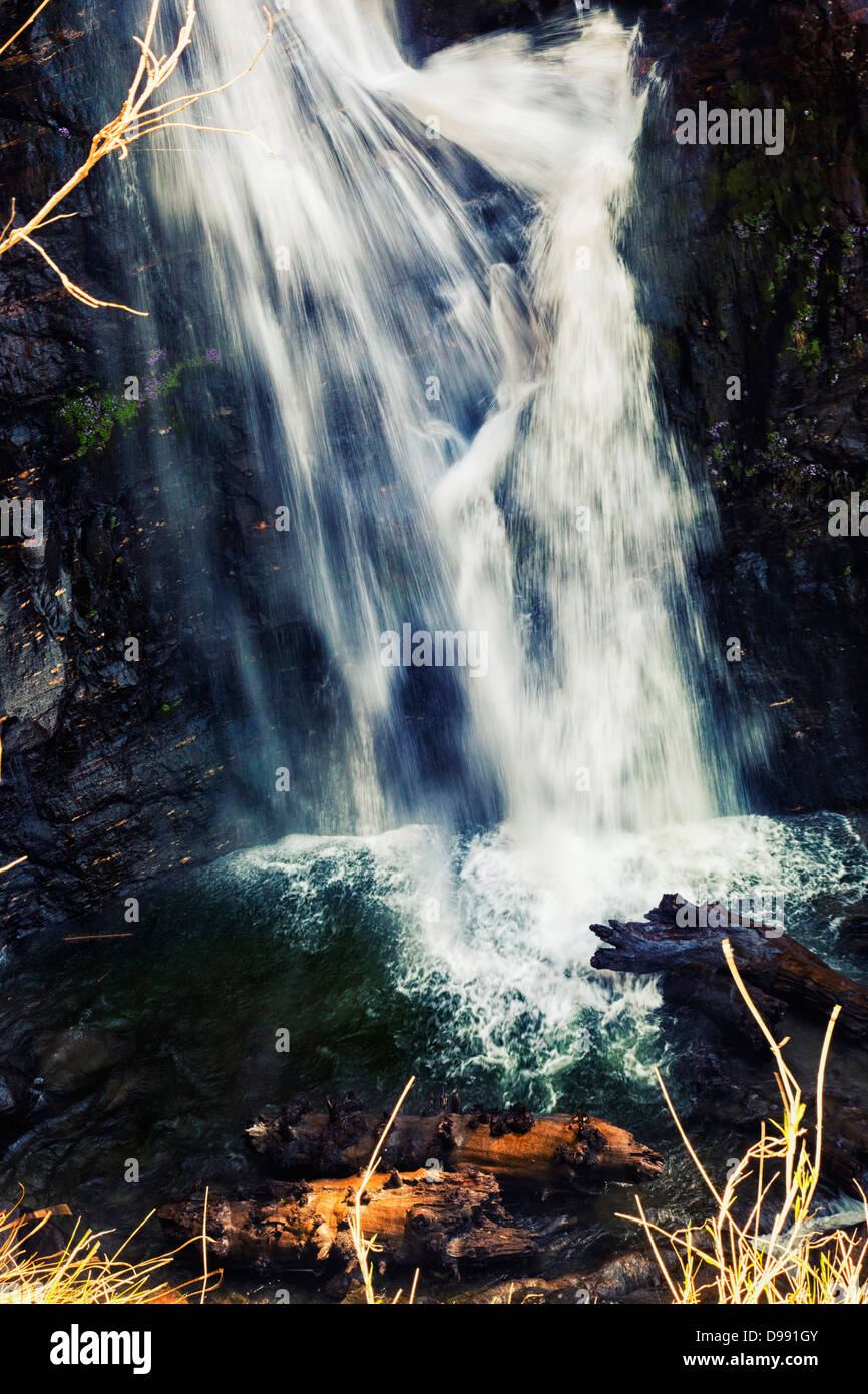 Waterfall in a forest, Jugni Falls, Manali, Himachal Pradesh, India ...