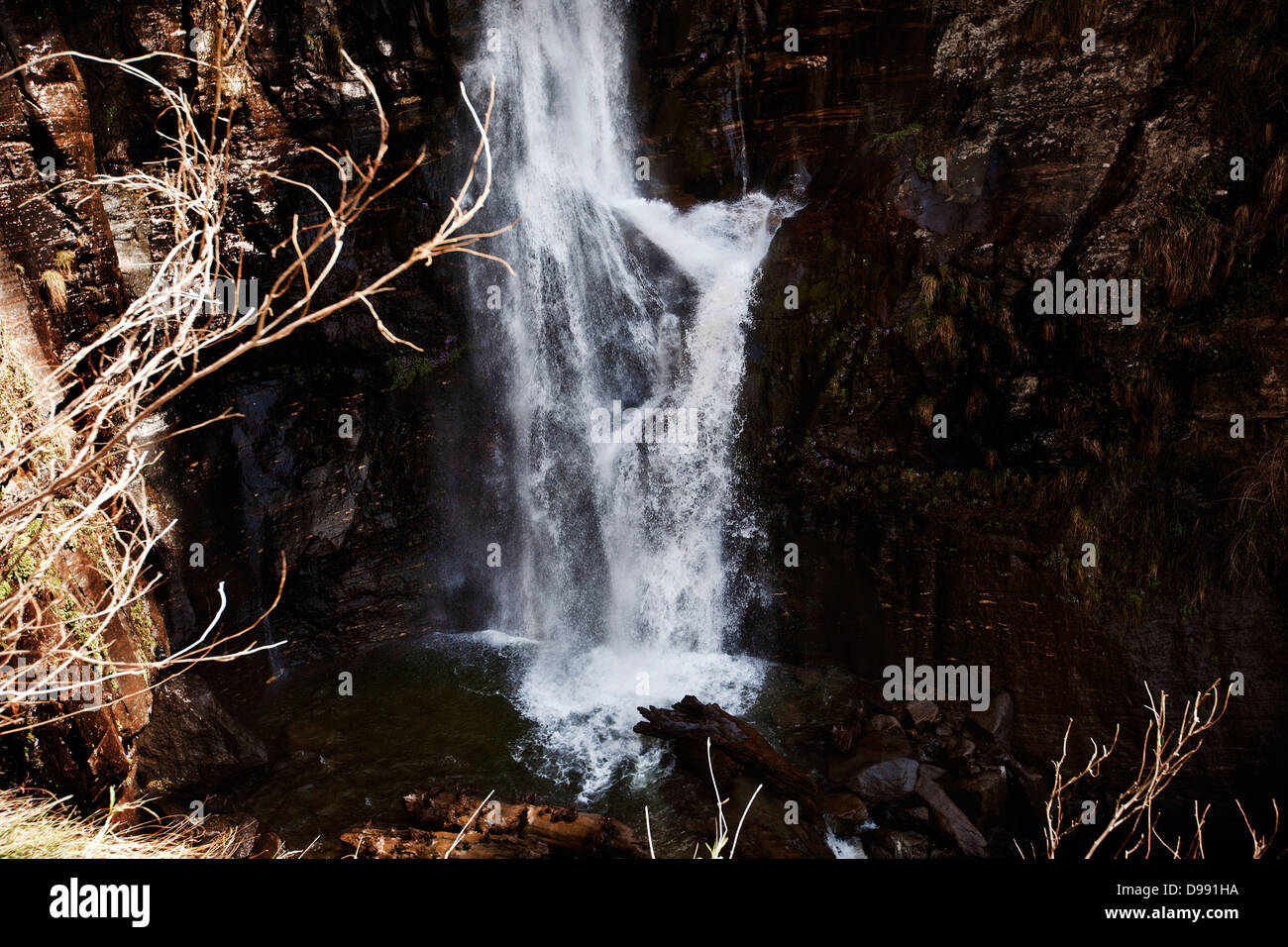 Waterfall in a forest, Jugni Falls, Manali, Himachal Pradesh, India ...