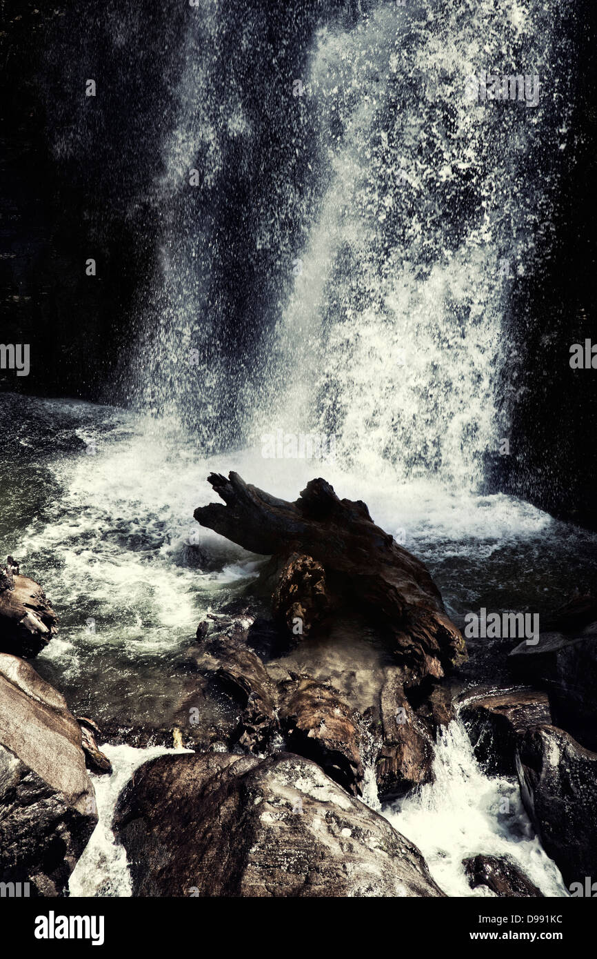 Waterfall in a forest, Jugni Falls, Manali, Himachal Pradesh, India ...
