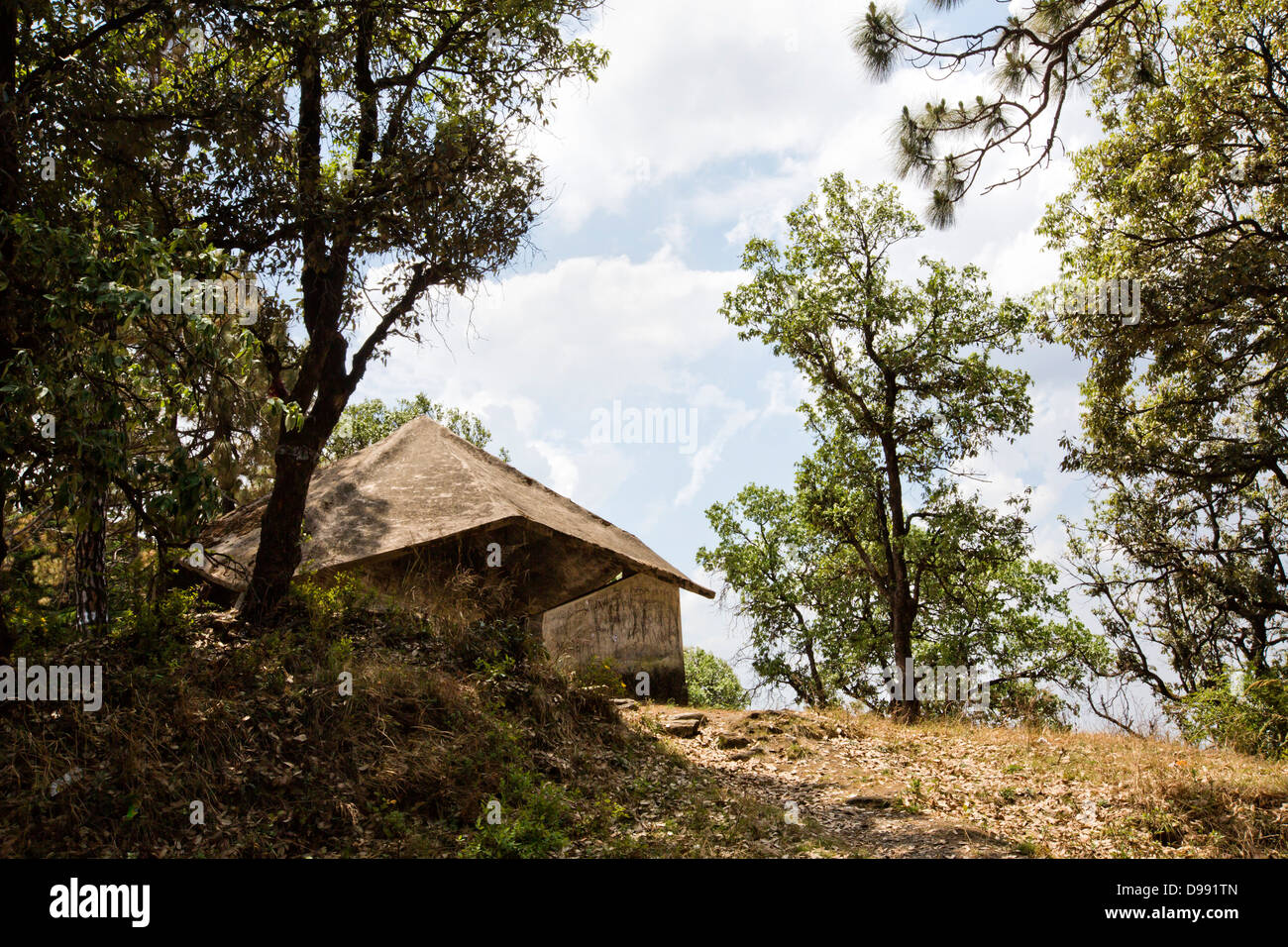 Trees with a hut on a mountain, Shimla, Himachal Pradesh, India Stock ...