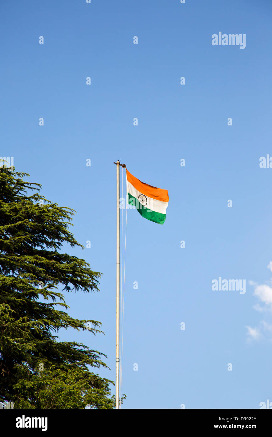 Low angle view of the Indian Flag, Shimla, Himachal Pradesh, India ...
