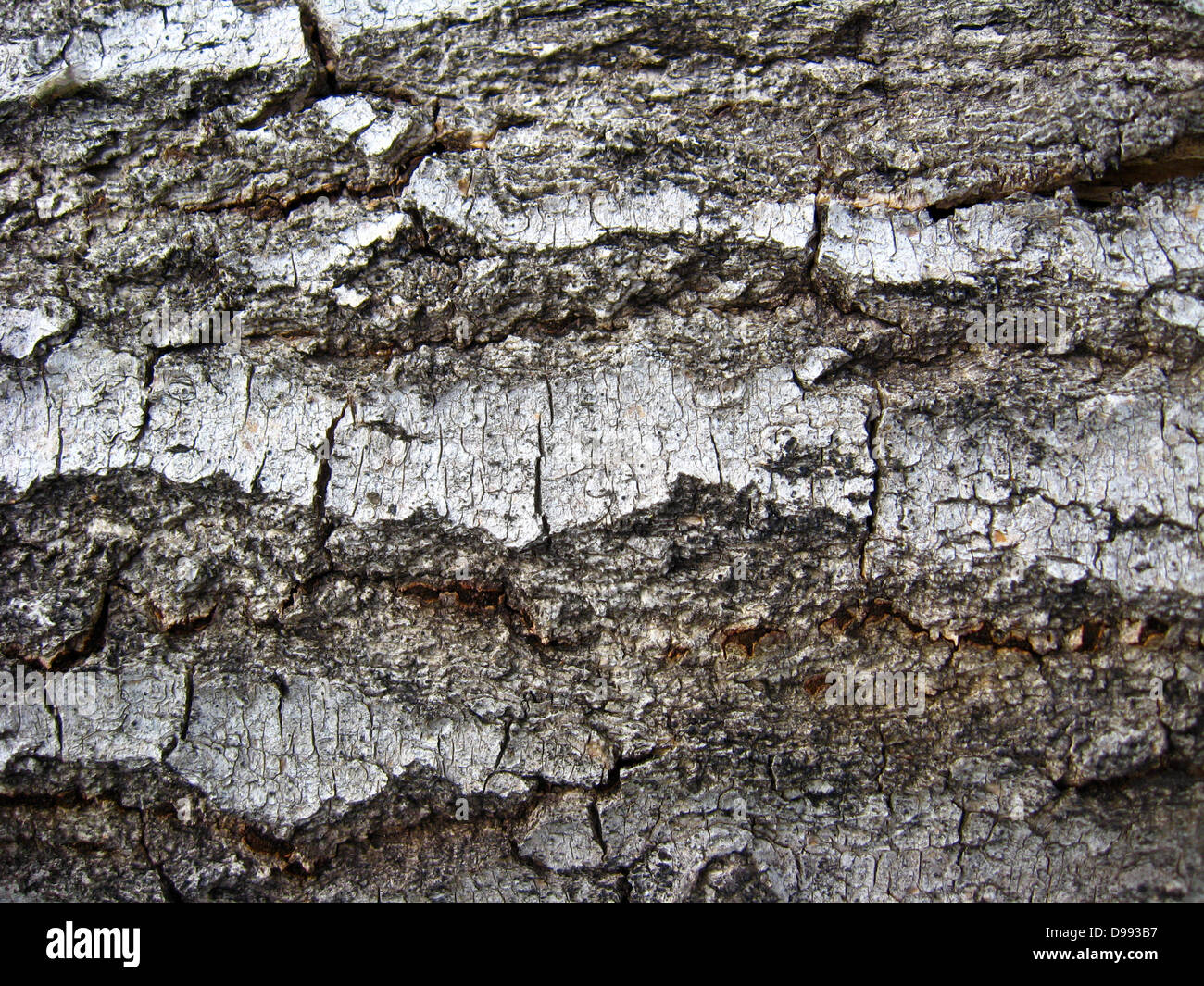 Bark cloth hi-res stock photography and images - Alamy