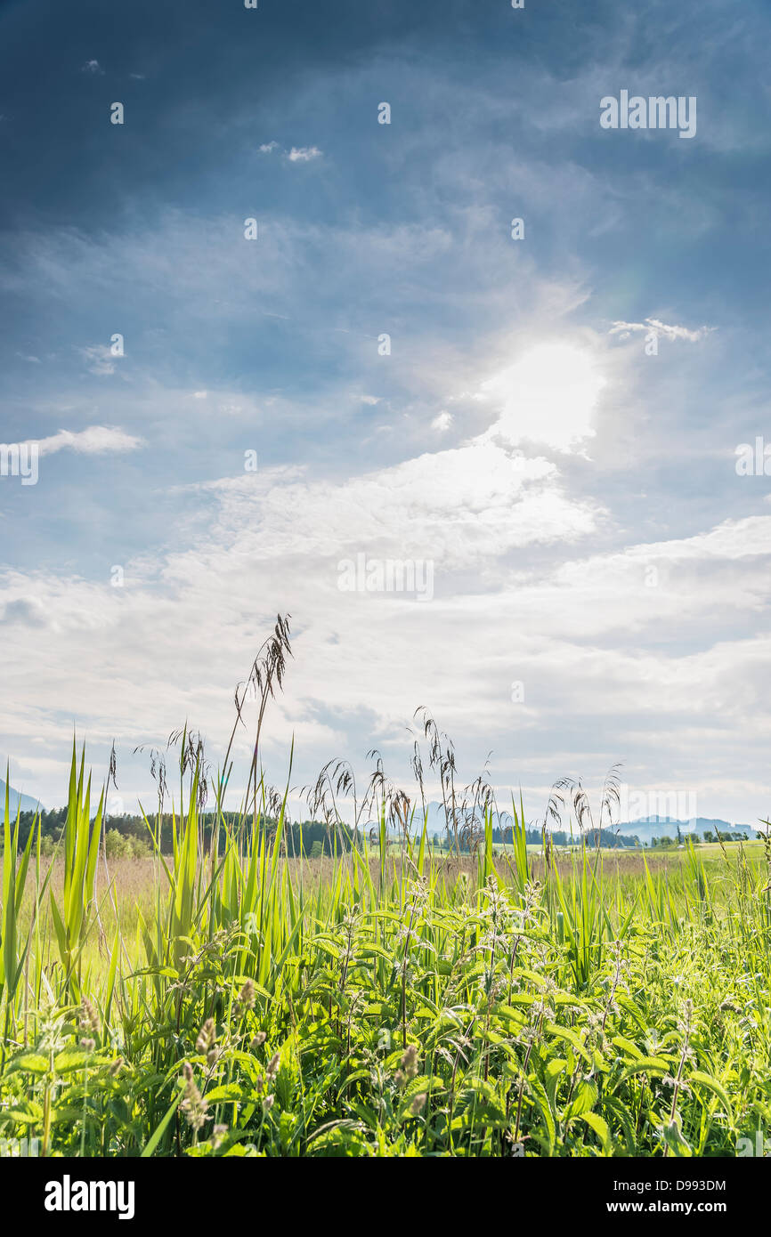 Blue green sun hi-res stock photography and images - Alamy