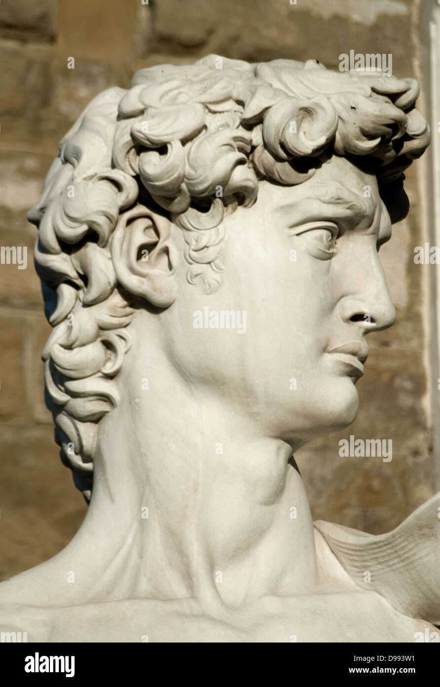 The david, in Florence, Italy Stock Photo - Alamy
