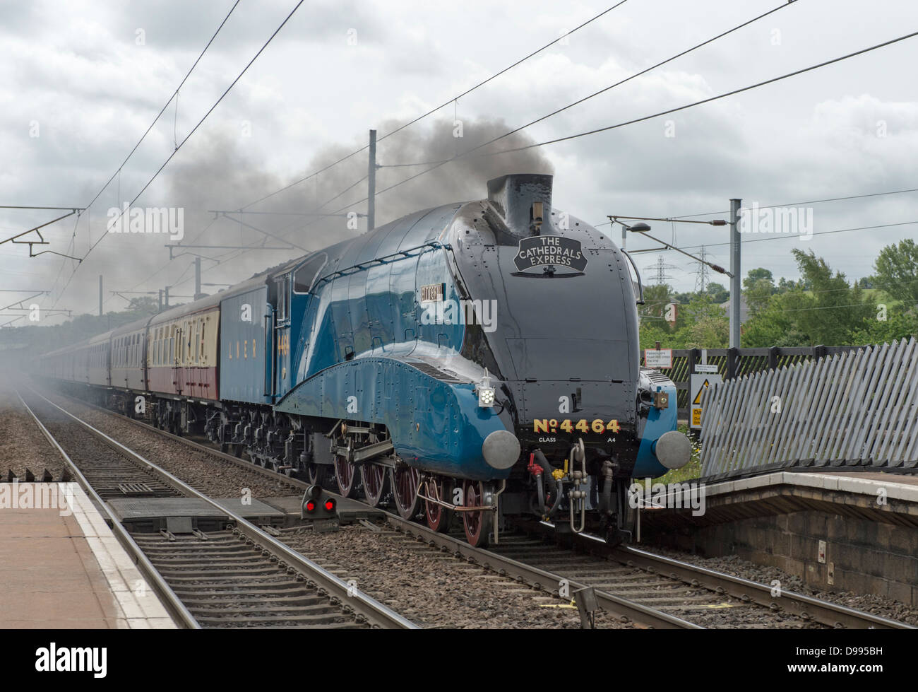 Bittern line hi-res stock photography and images - Alamy