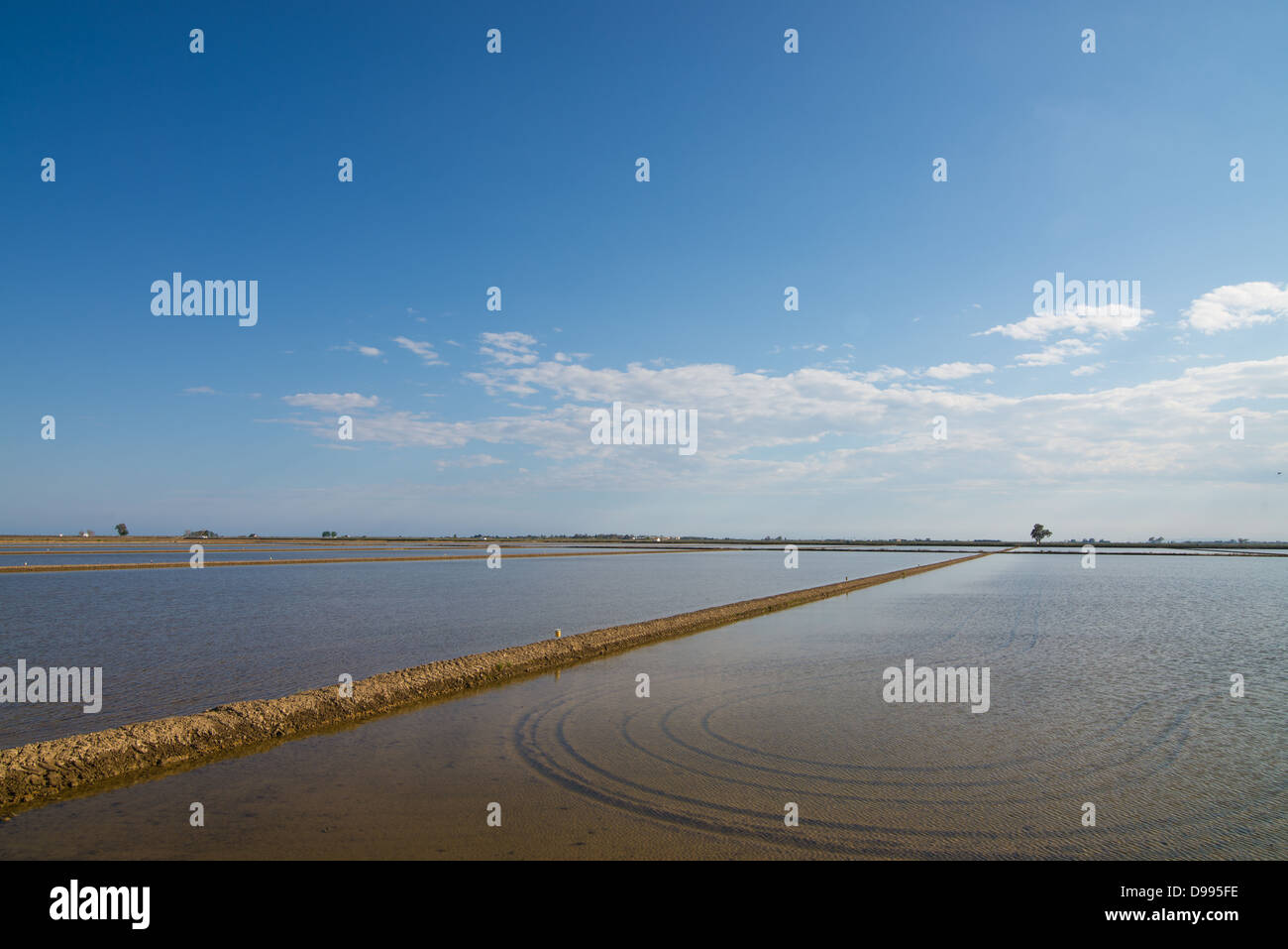 Ebro delta hi-res stock photography and images - Alamy