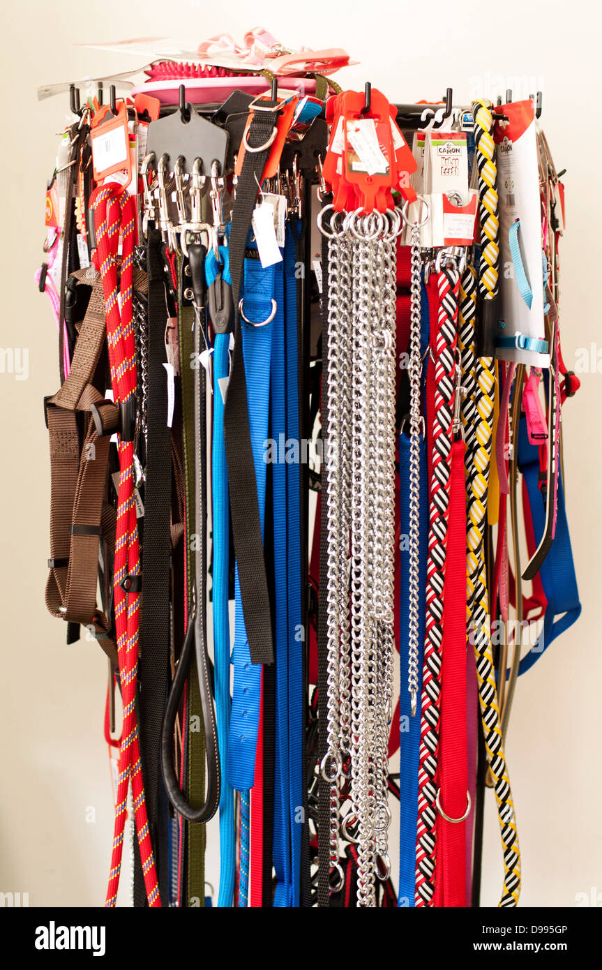 Leashes dog hi-res stock photography and images - Alamy