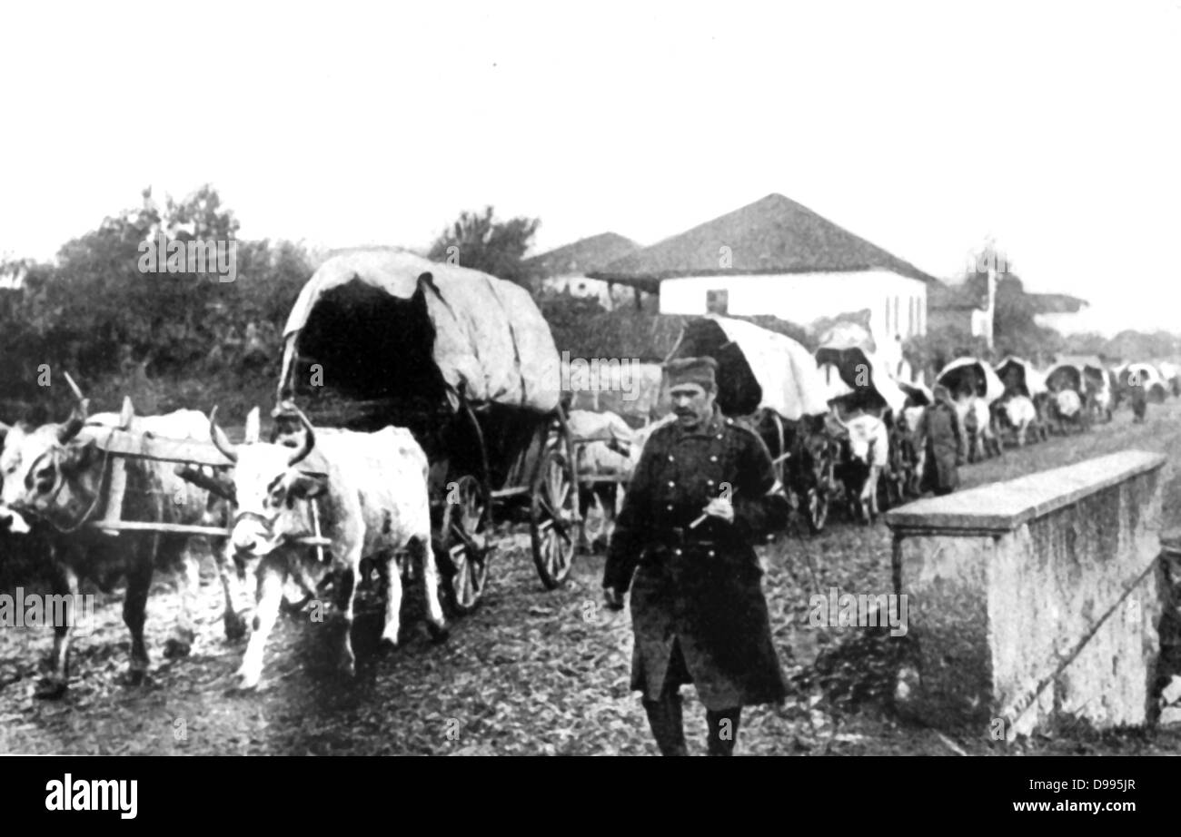 Bullock train Black and White Stock Photos & Images - Alamy