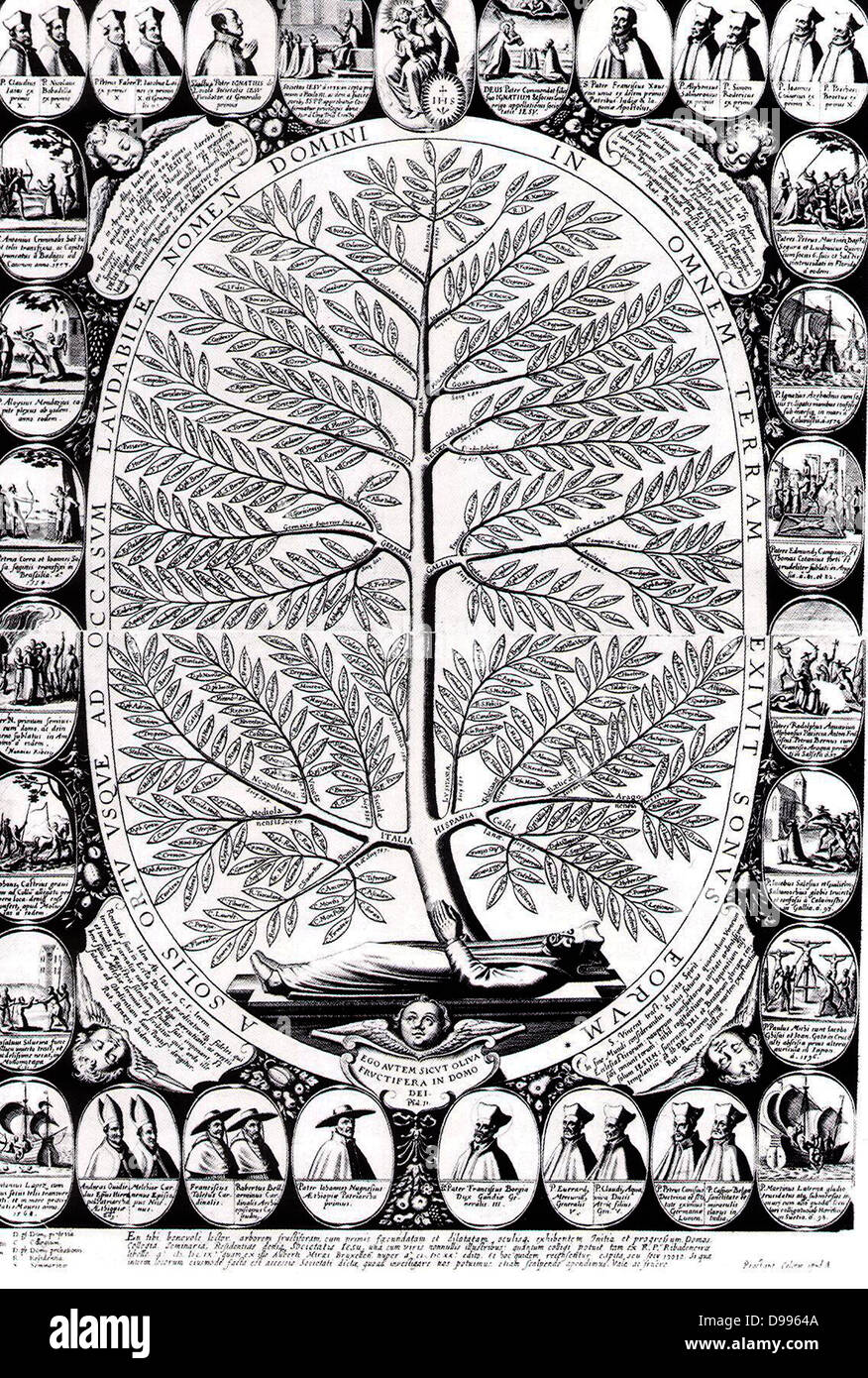 Cinchona tree hi-res stock photography and images - Alamy