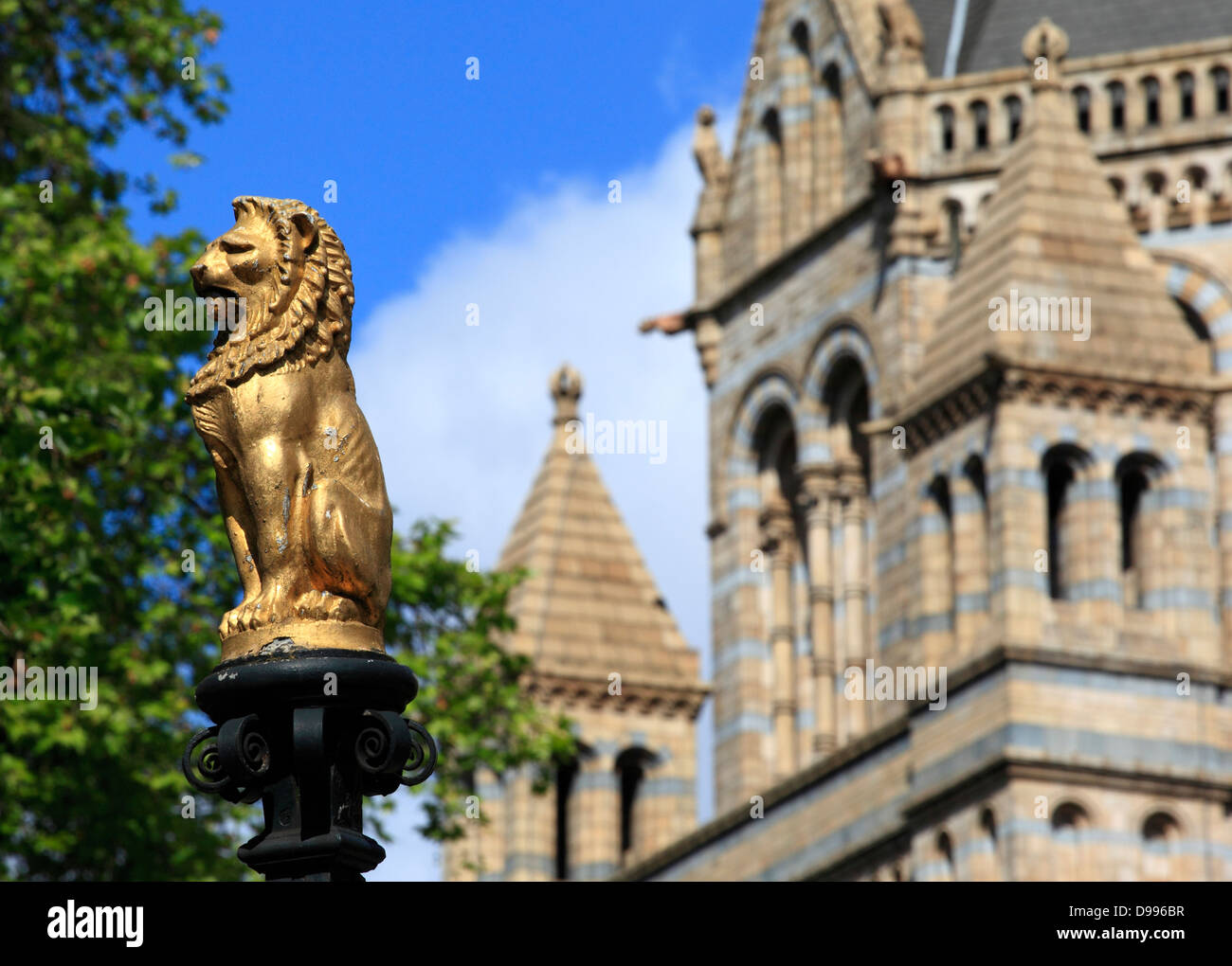 A Golden Lion with the Natural History Museum in the background, London ...