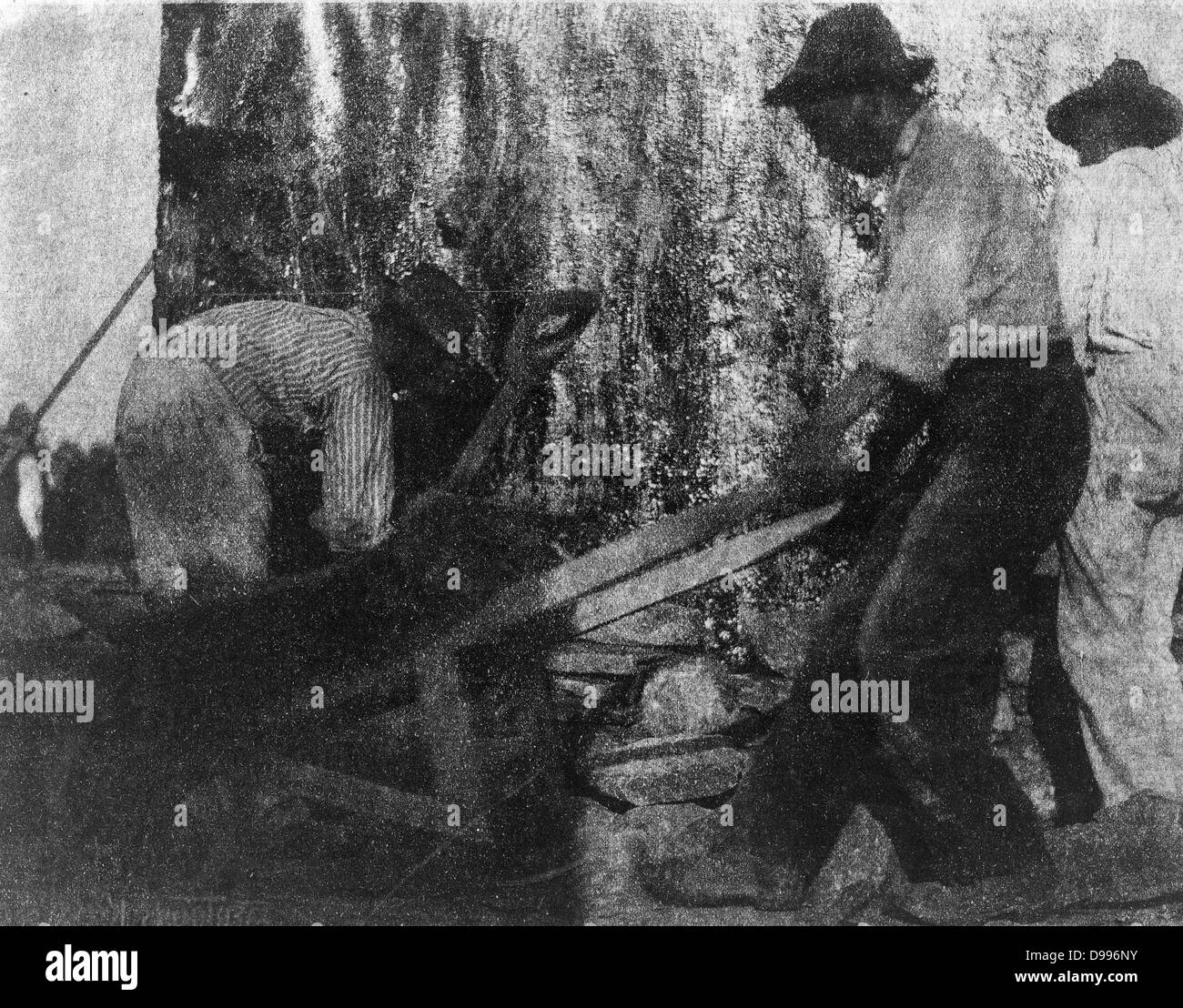 Three workmen. Photograph showing three African American labourers at ...