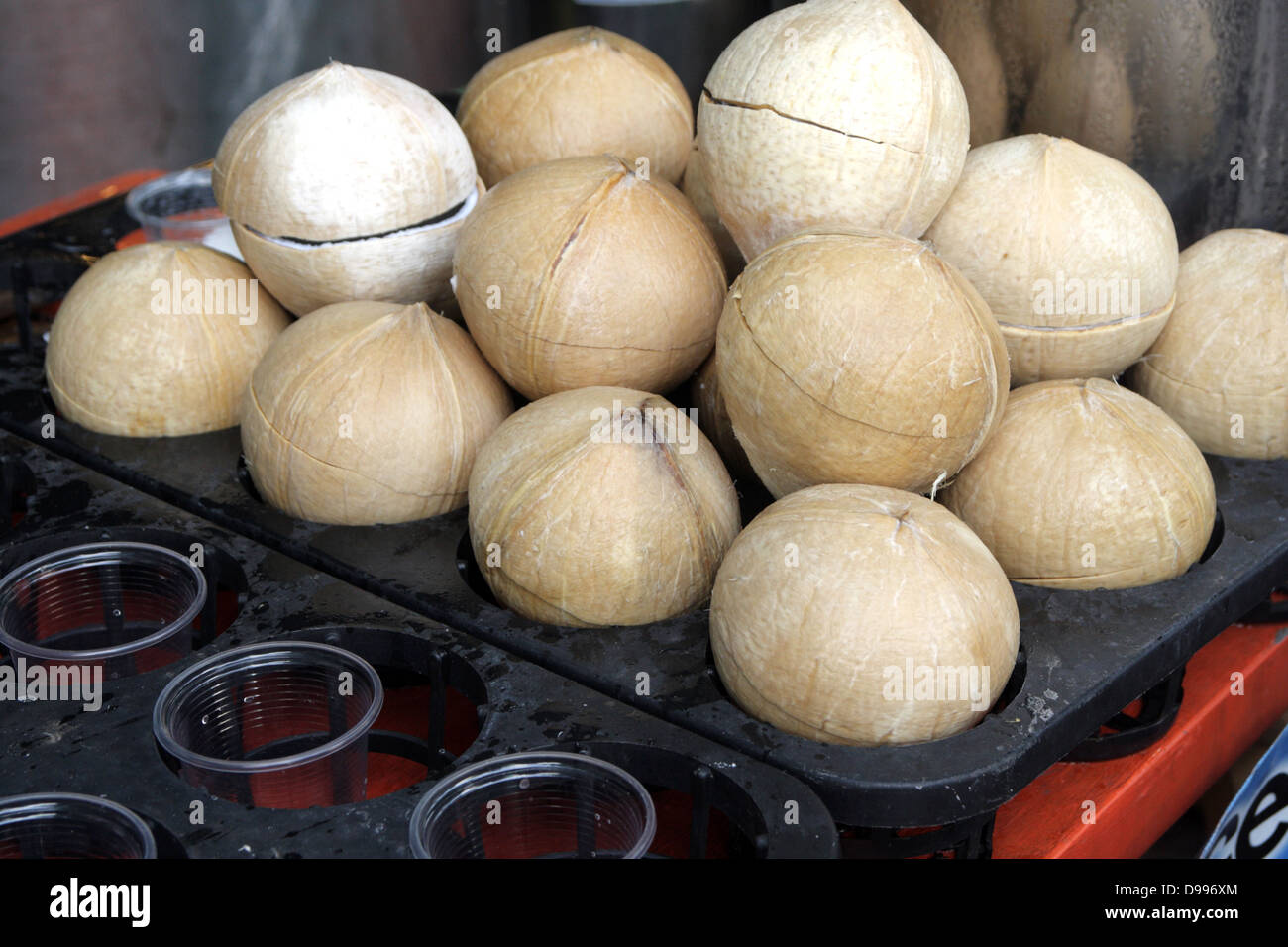 Coconuts on sale in shop Stock Photo - Alamy