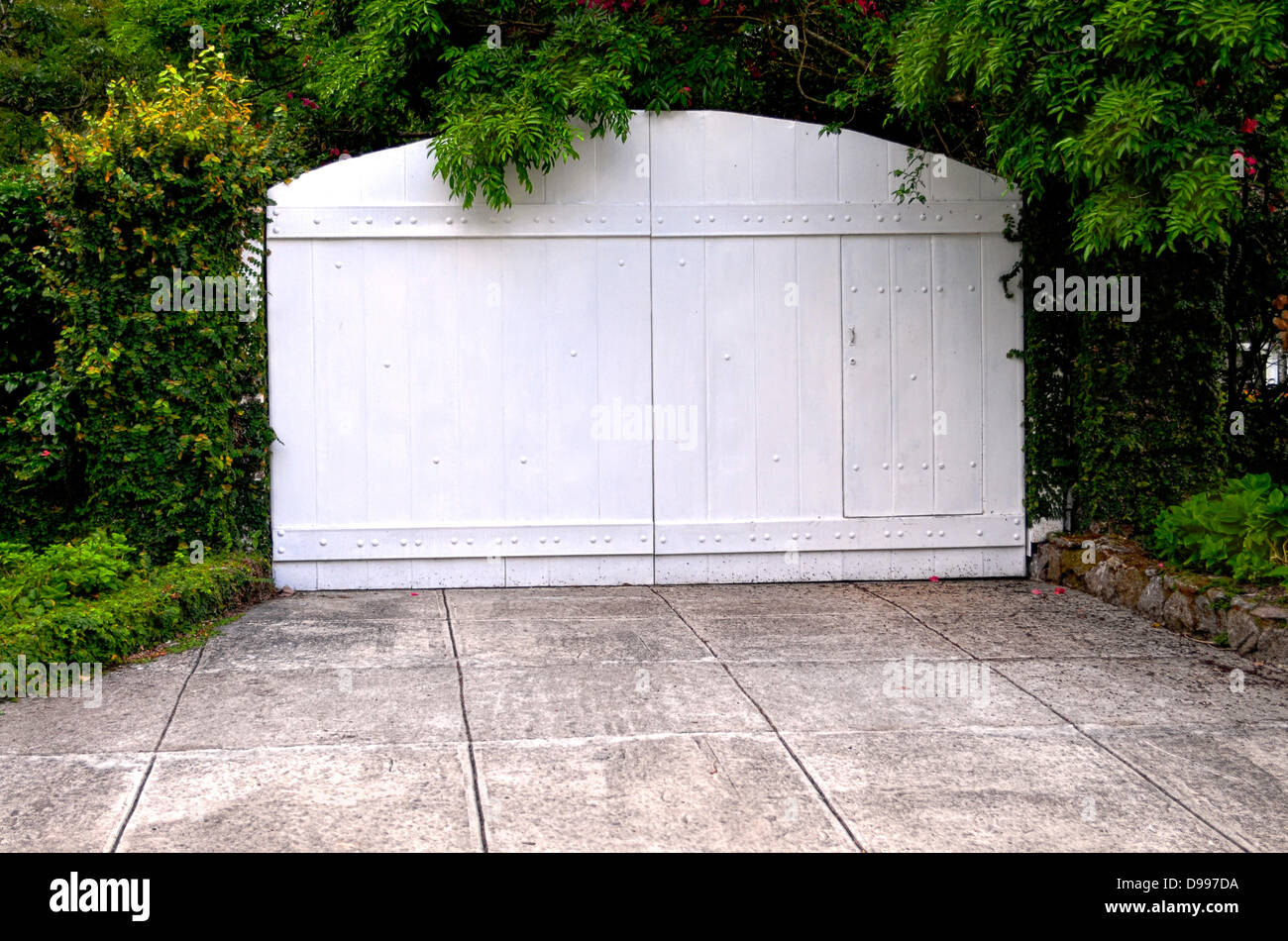 Elegant wooden front gate surrounded by lush green leaves Stock Photo ...