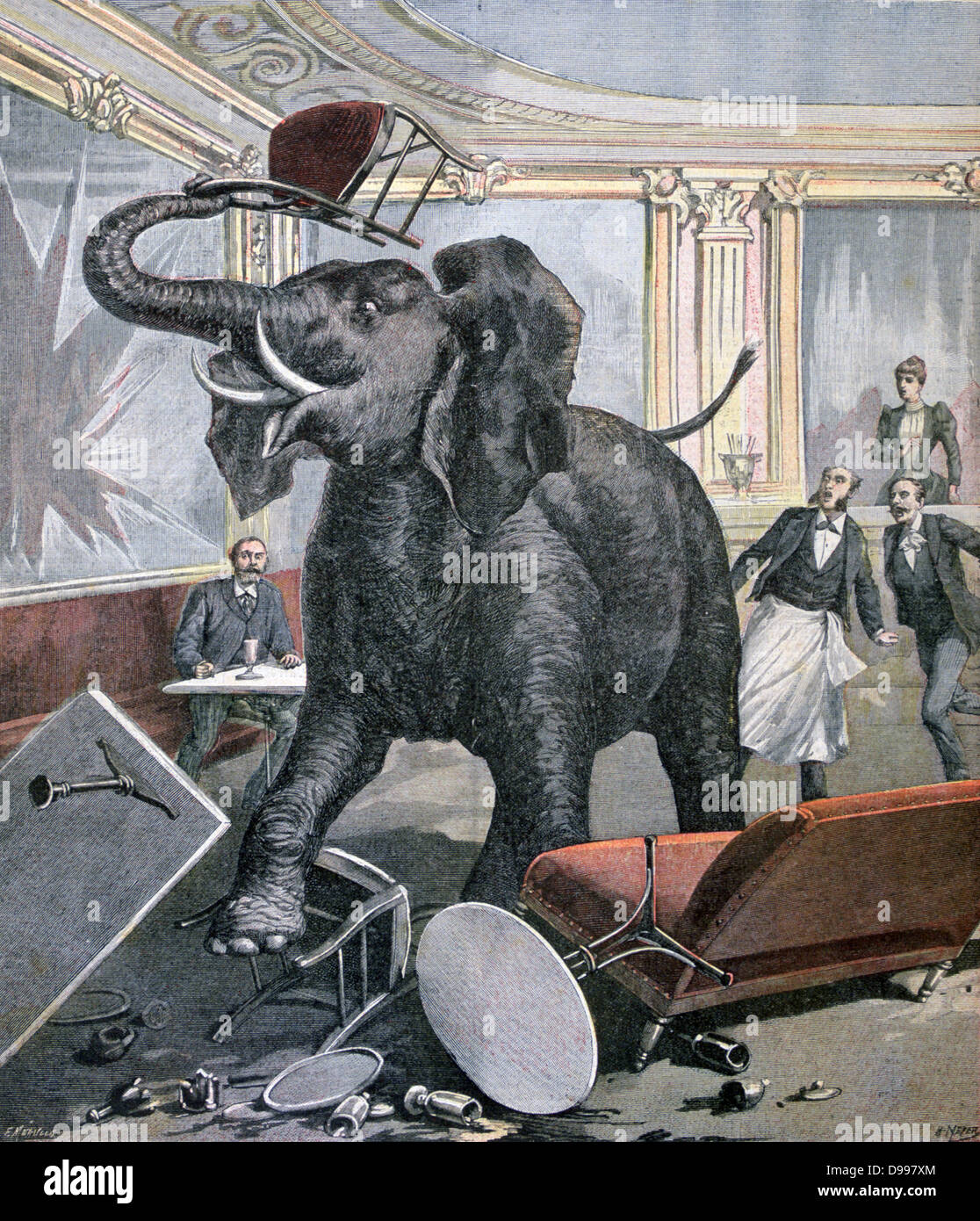 A elephant or an elephant hi-res stock photography and images - Alamy