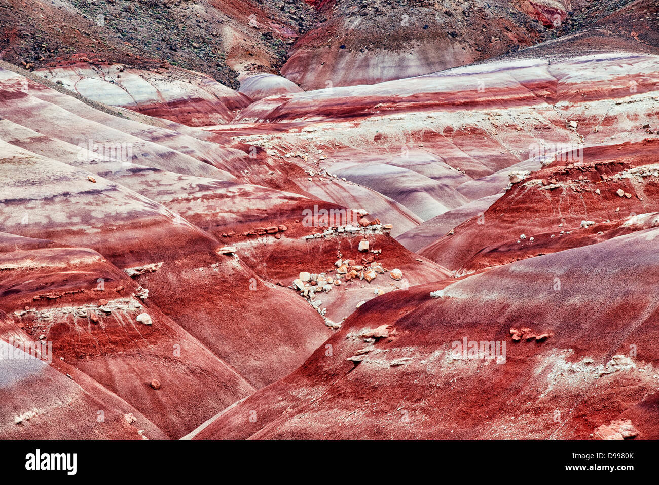 Overnight rainfall enriches colorful volcanic ash deposits at the ...
