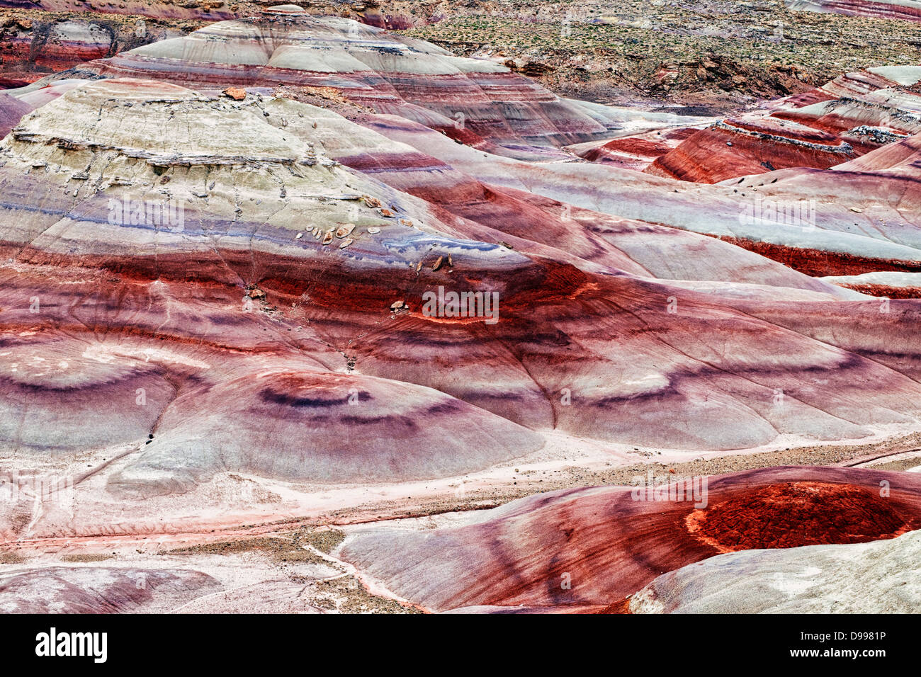 Overnight rainfall enriches colorful volcanic ash deposits at the ...