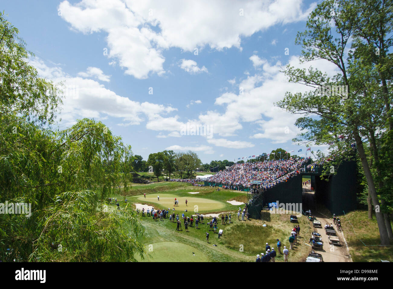 Rory tiger hi-res stock photography and images - Alamy