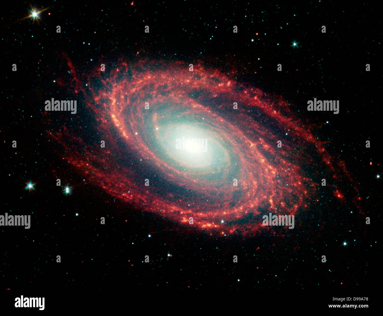 Messier 81 hi-res stock photography and images - Alamy
