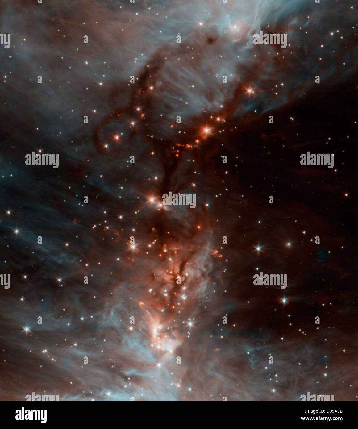 This image shows the Orion nebula, a nebula where stars are born ...