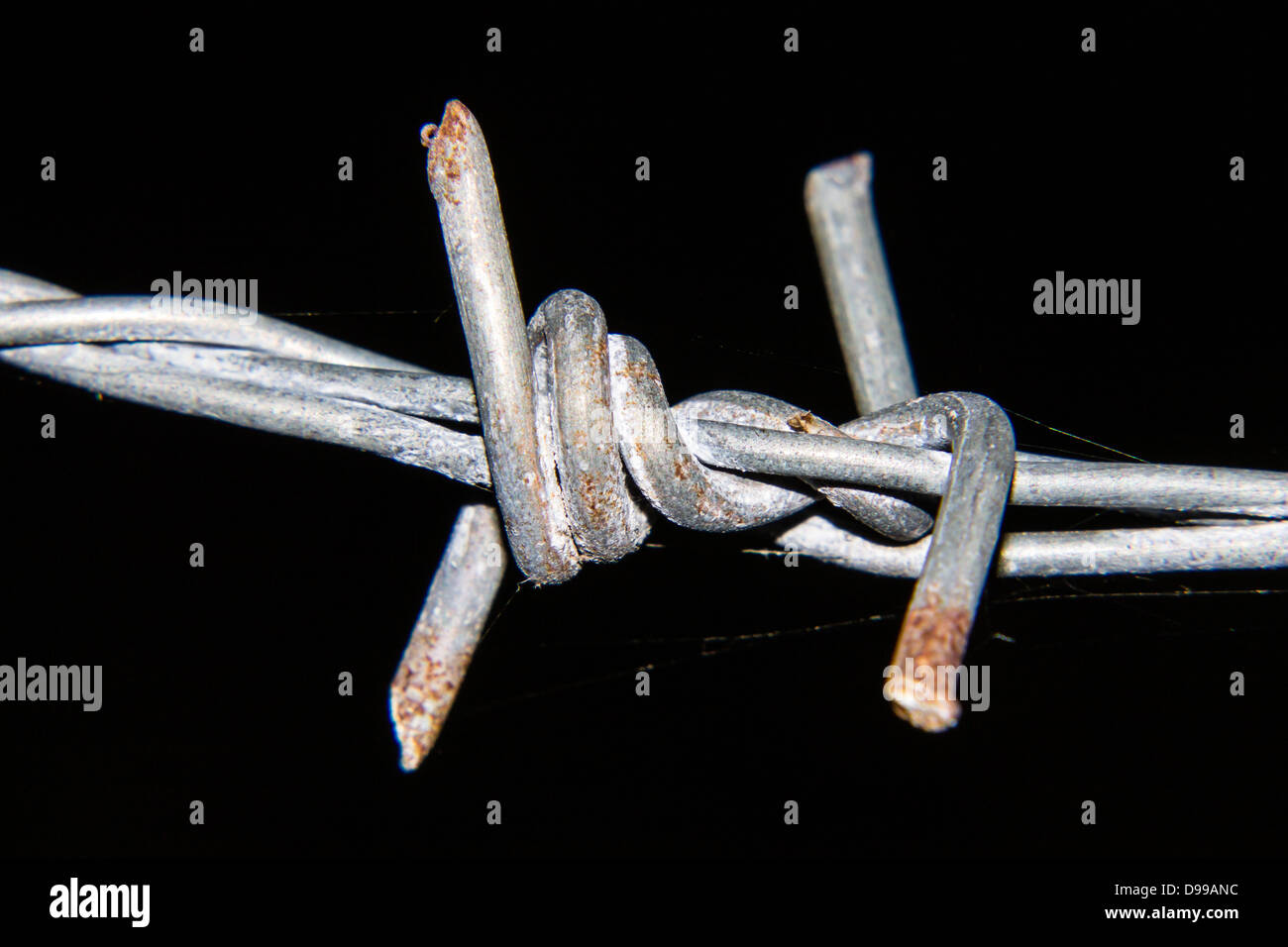 Wire pictures hi-res stock photography and images - Alamy
