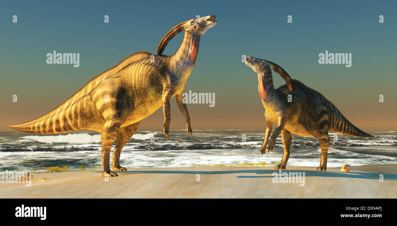 Parasaurolophus extinct prehistoric cretaceous hi-res stock photography ...