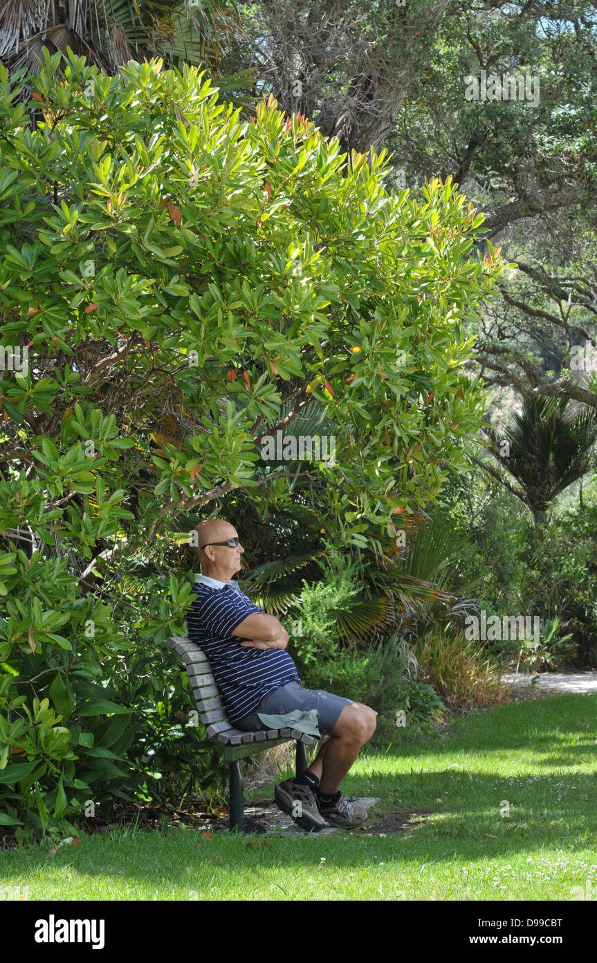 Sit under tree old man hi-res stock photography and images - Alamy