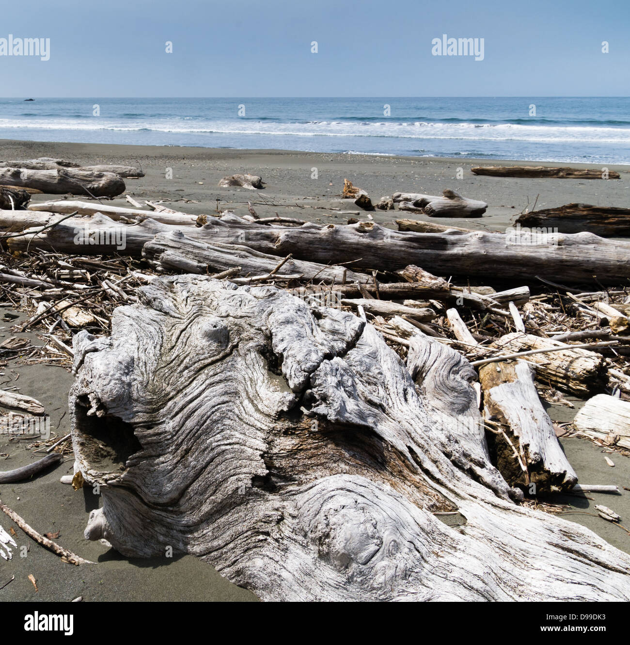 Driftwood weathering on the beach Stock Photo - Alamy