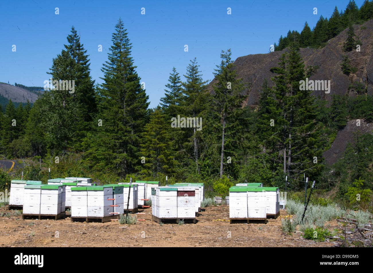 Field of boxes hi-res stock photography and images - Alamy