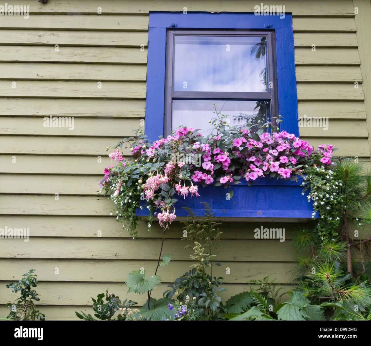 Flowerbox hi-res stock photography and images - Alamy