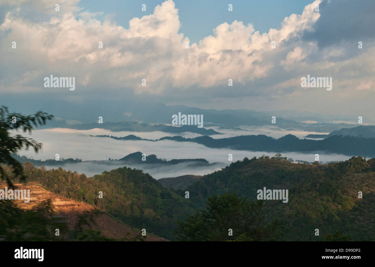 a sea of mist below the mountains, Phongsaly, Laos Stock Photo - Alamy