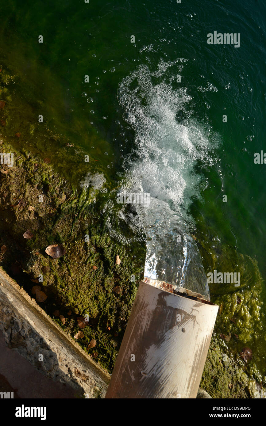 Well water is pumped in to a man made lake in the Sonoran Desert ...