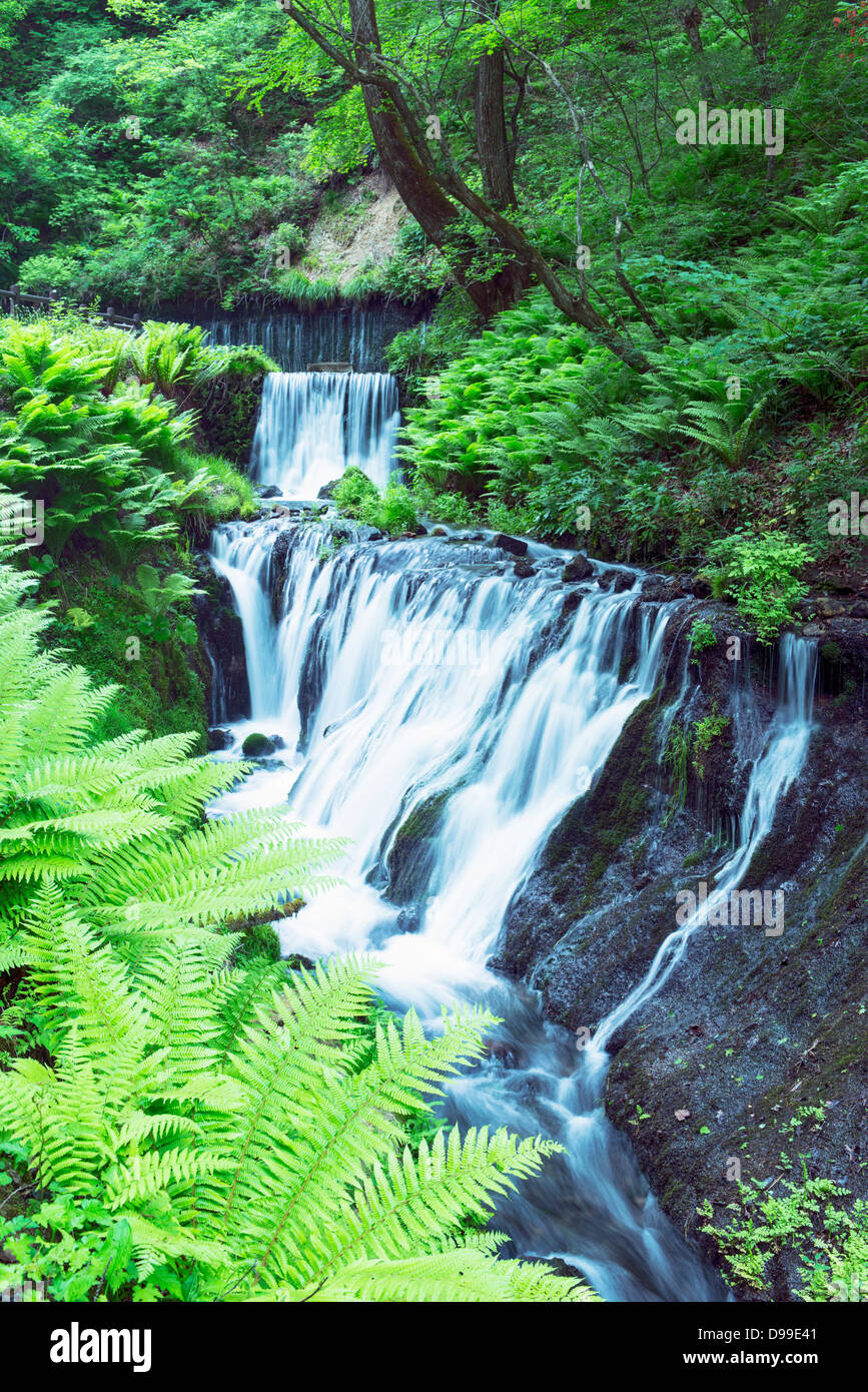 Karuizawa nagano japan hi-res stock photography and images - Alamy