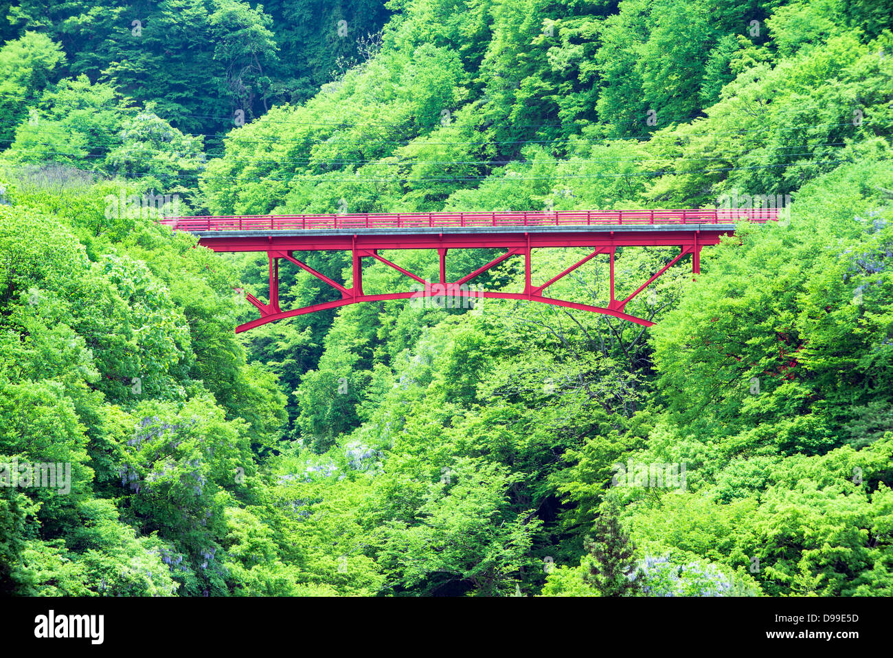 Red bridge japan hi-res stock photography and images - Alamy