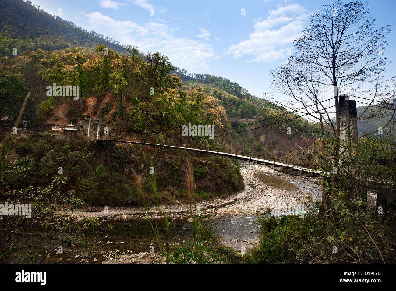India darjeeling forest hi-res stock photography and images - Alamy