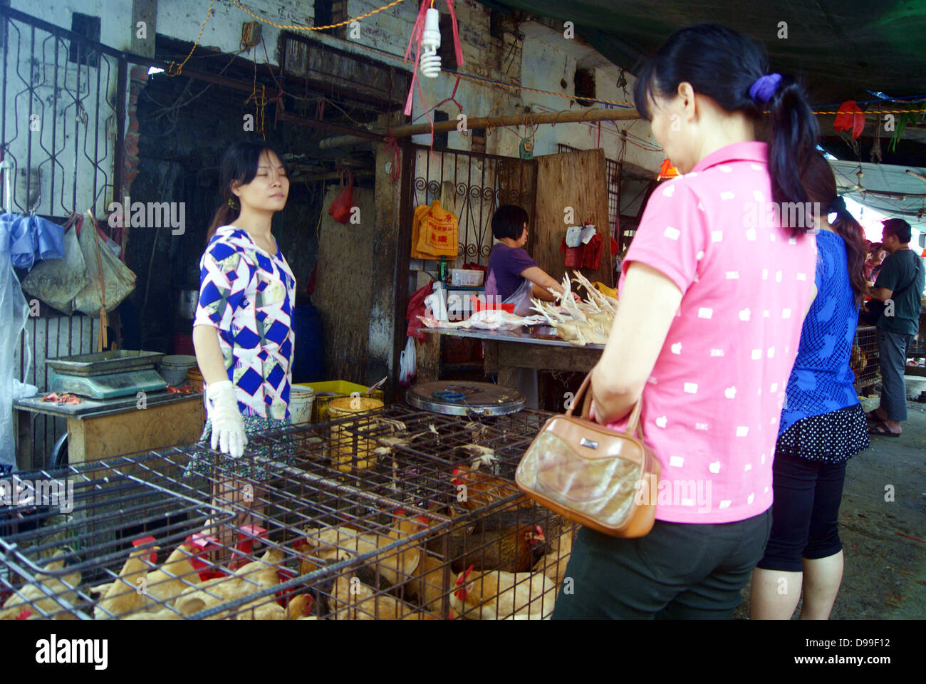 Chickens, farmers' market in shenzhen, people buying live chickens. In ...