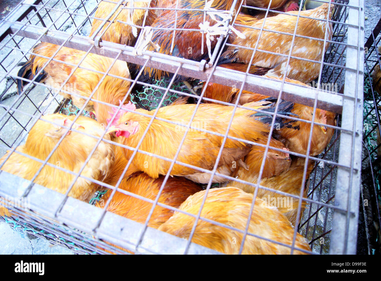 Farmers market in shenzhen china hi-res stock photography and images ...