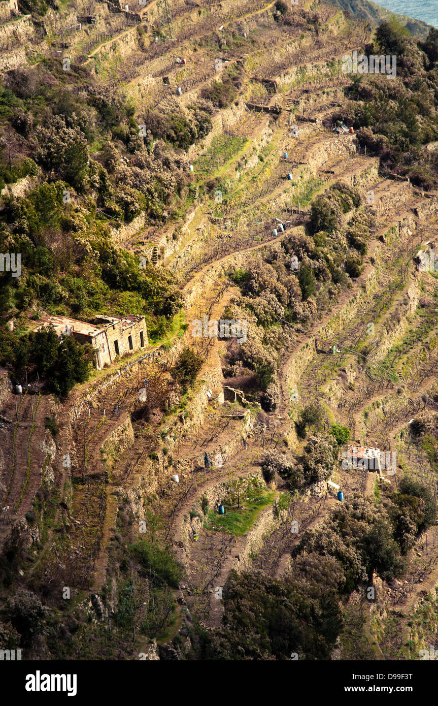 Terrace Farming Stock Photos & Terrace Farming Stock Images - Alamy
