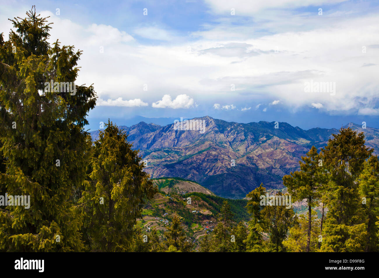 Trees with mountain range in the background, Kufri, Shimla, Himachal ...