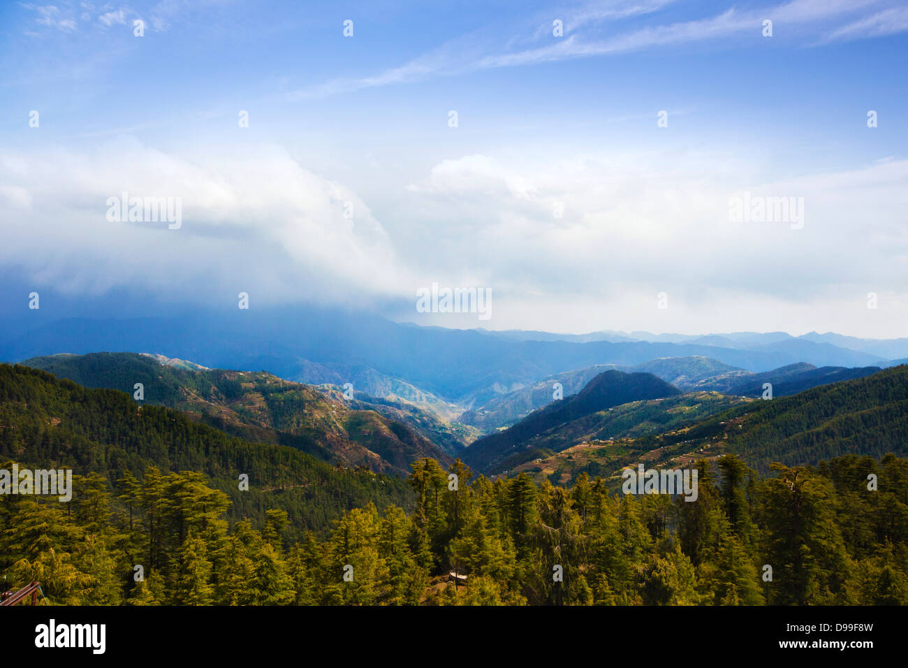 Trees with mountain range in the background, Kufri, Shimla, Himachal ...