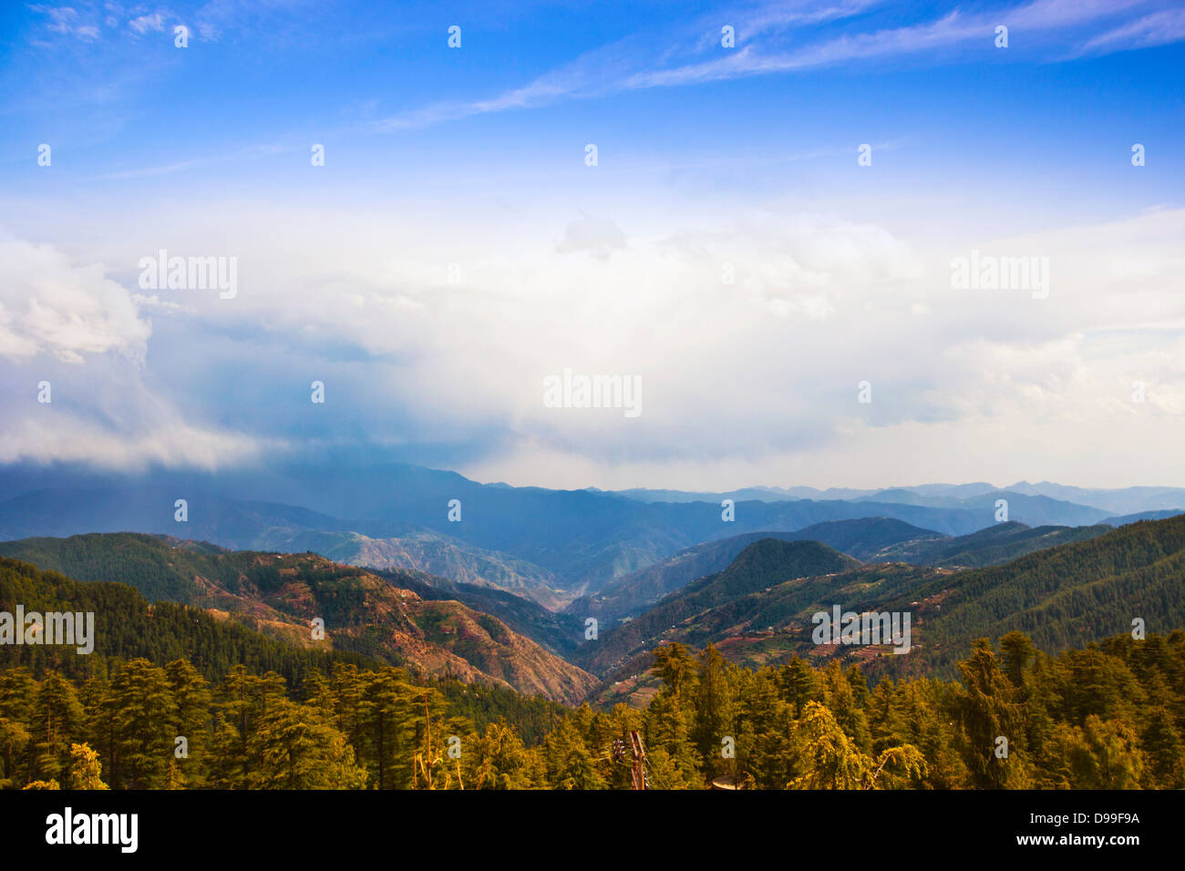 Trees with mountain range in the background, Kufri, Shimla, Himachal ...