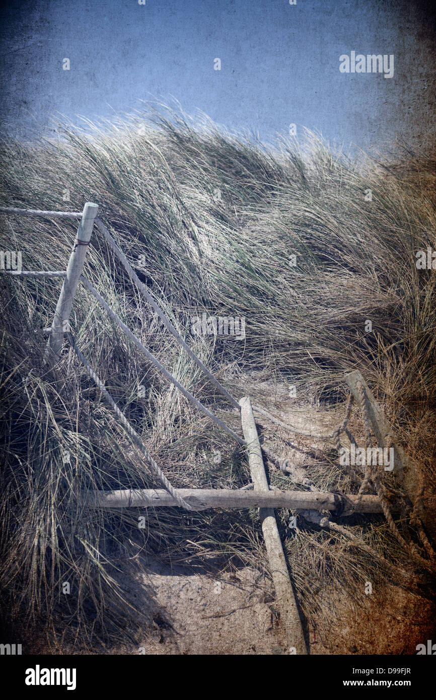 Wild grass and rope fence on beach Stock Photo - Alamy