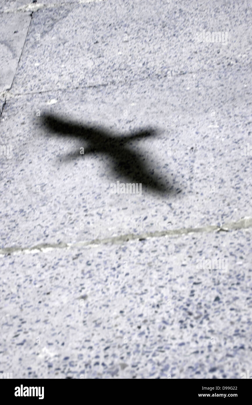 Flying bird shadow hi-res stock photography and images - Alamy