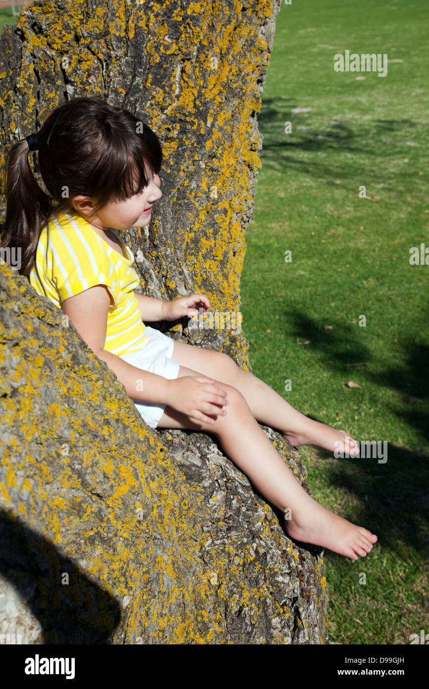 Girl Sitting in a Tree Stock Photo - Alamy