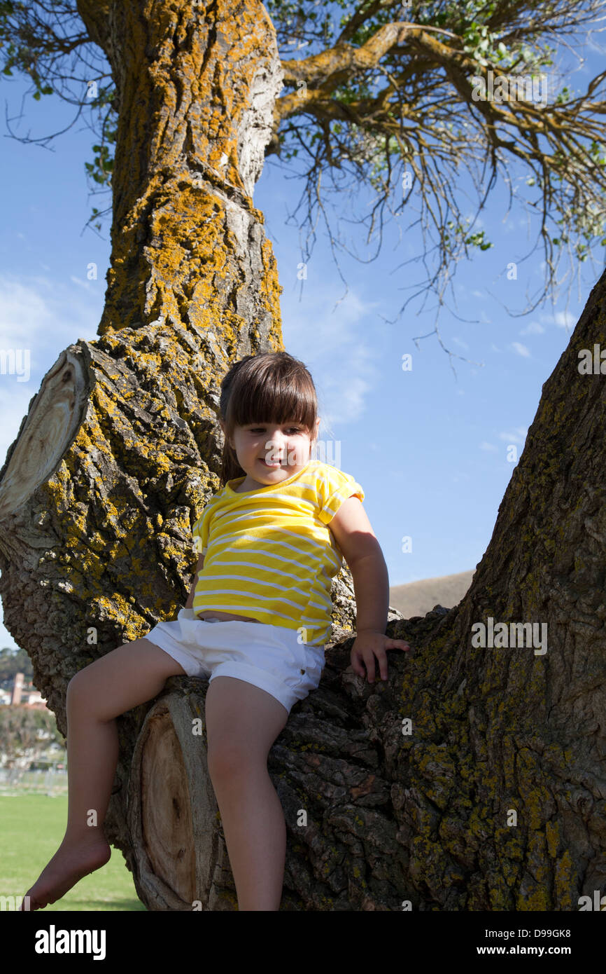 Girl Sitting in a Tree Stock Photo - Alamy