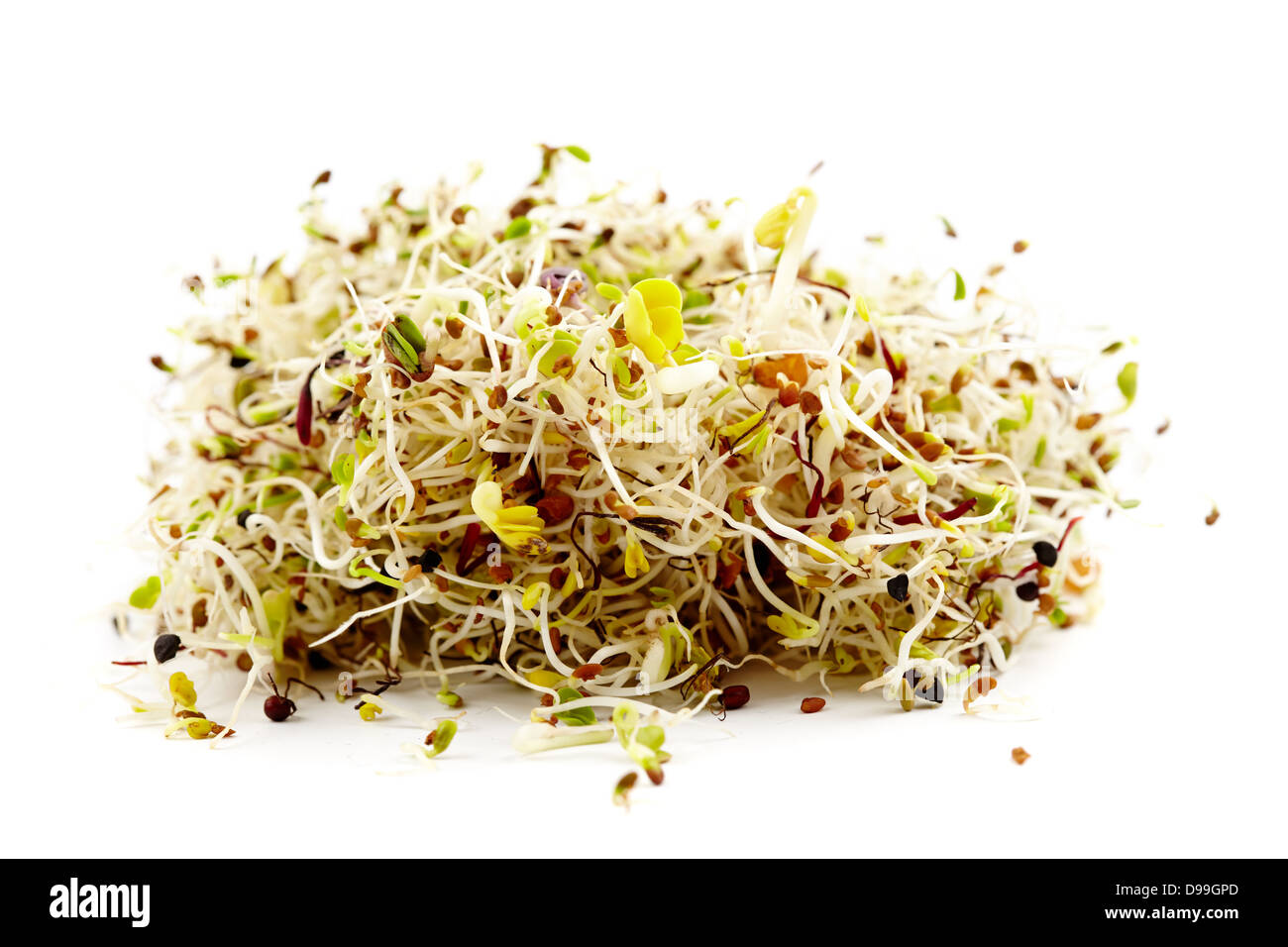 Mix of various germ sprouts isolated on white background Stock Photo ...