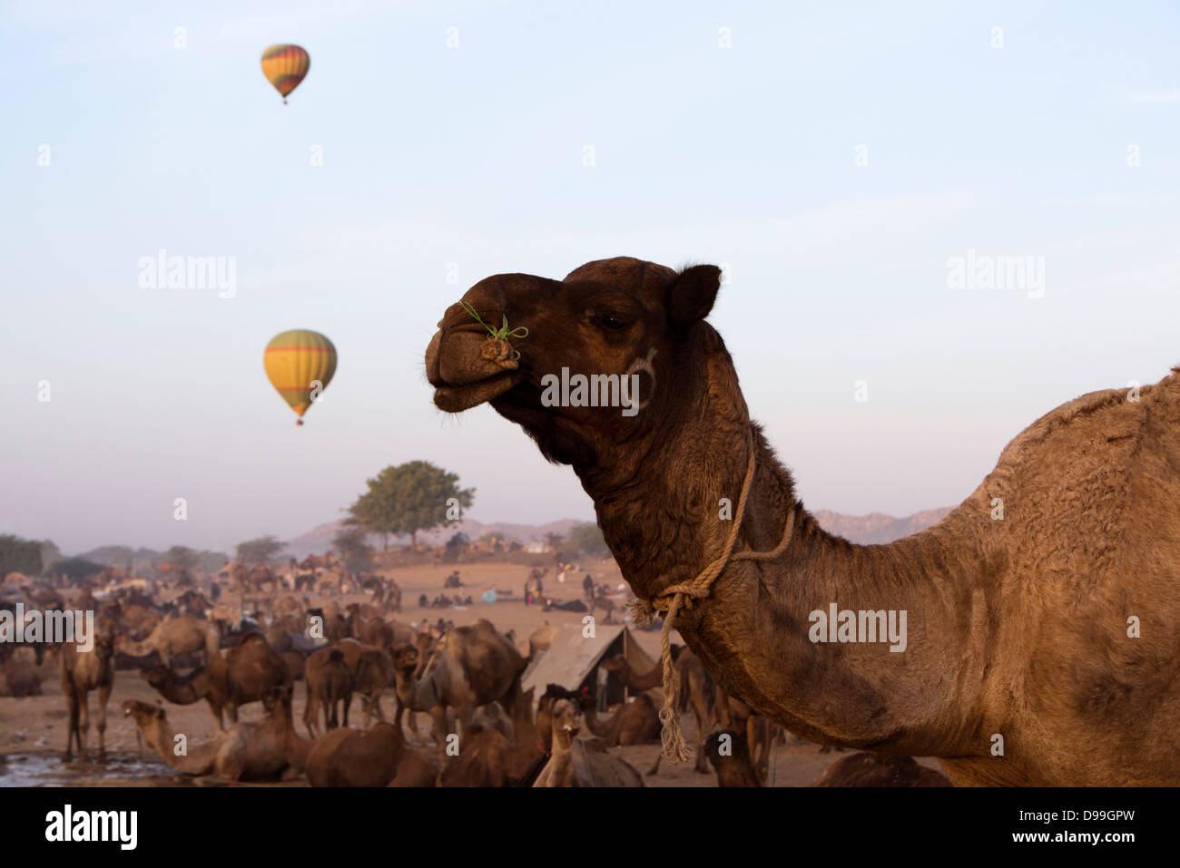 India hot air balloons hi-res stock photography and images - Alamy