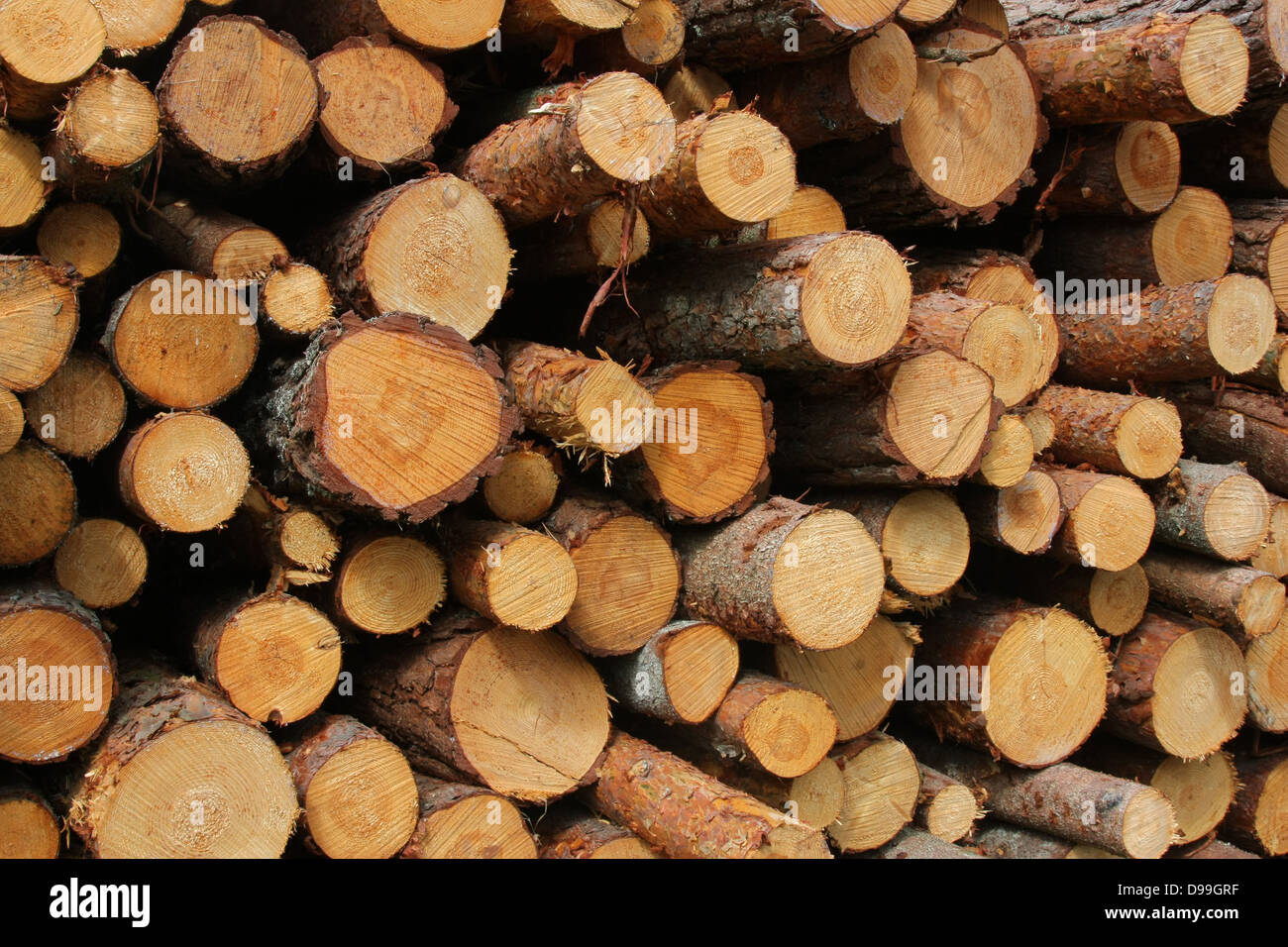 Timber wood log lumber hi-res stock photography and images - Alamy