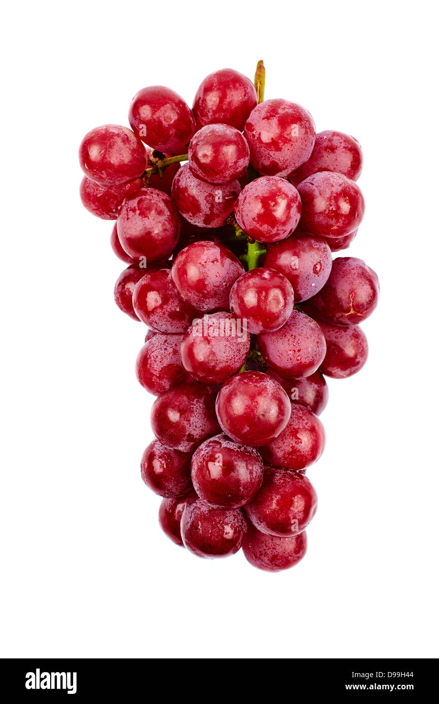 A cluster of red grapes isolated on white background Stock Photo - Alamy