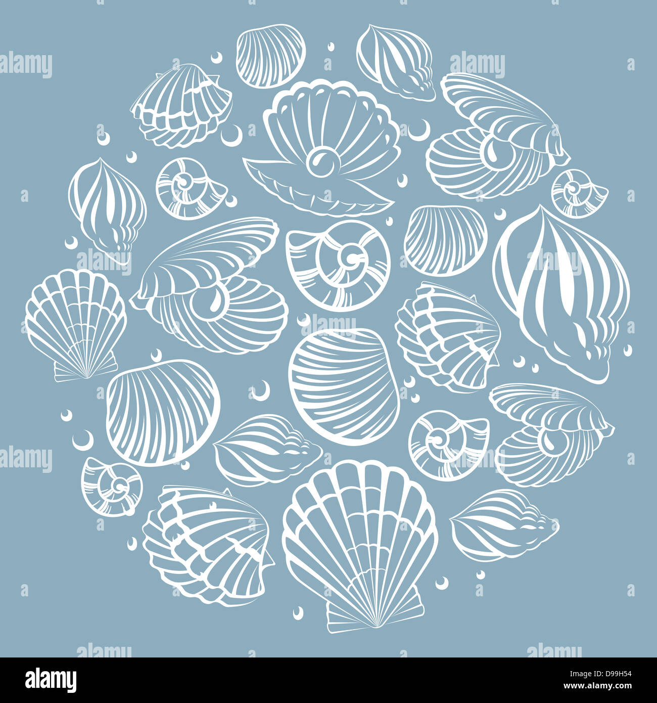 Seashell round design element Stock Photo - Alamy