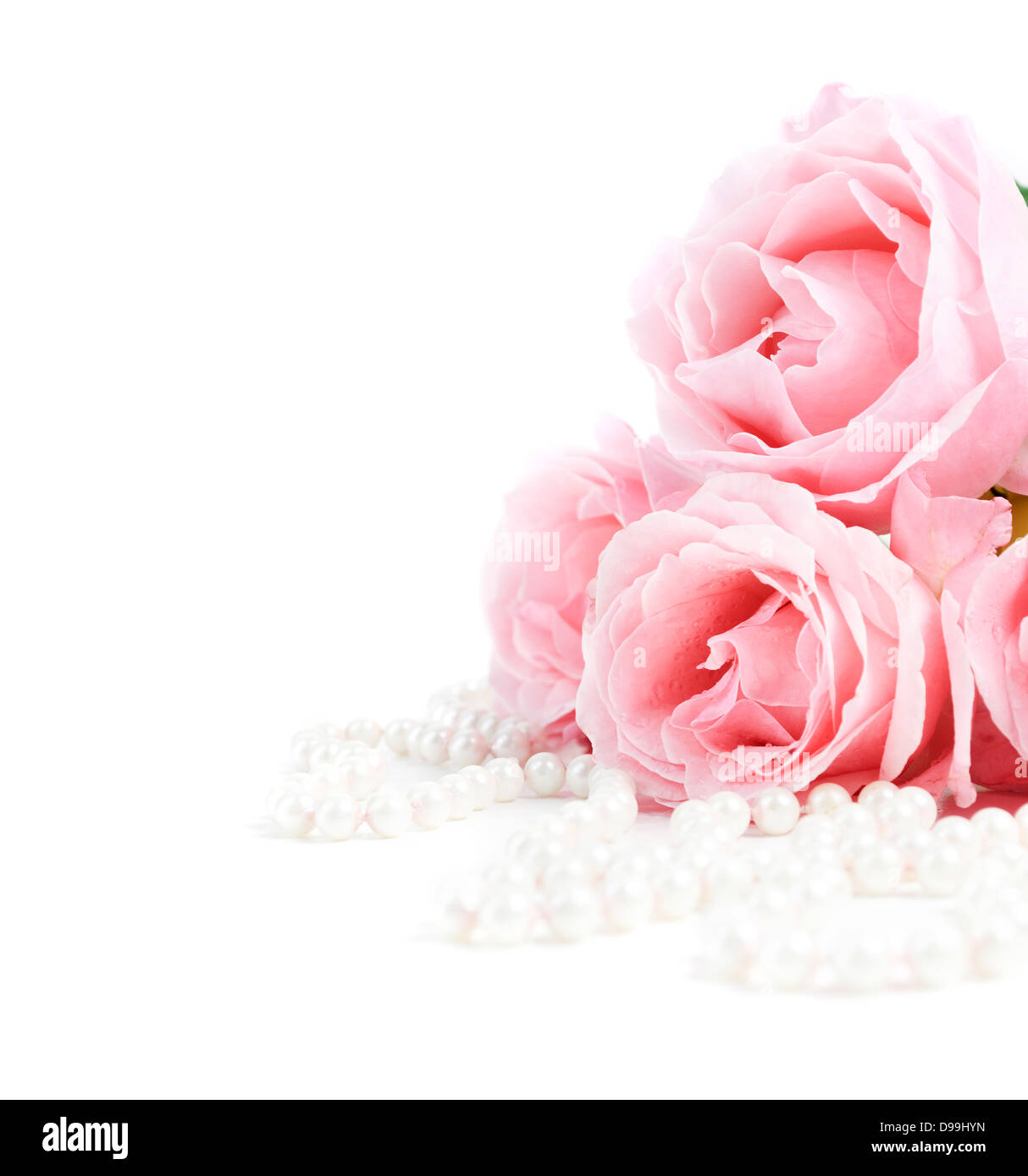 Beautiful pink roses white pearls hi-res stock photography and images ...